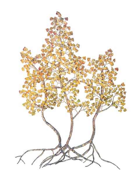 Aspen Tree Drawing At PaintingValley Com Explore Collection Of Aspen Tree Drawing