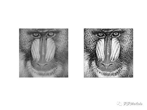 【图像增强】基于差分进化和模拟退火实现图像增强附matlab代码 阿里云开发者社区