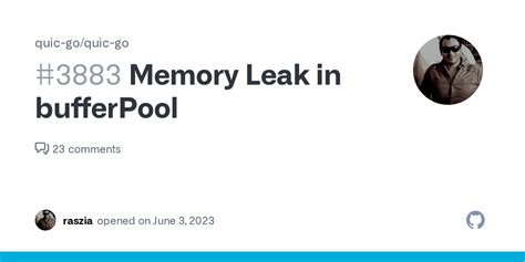 Memory Leak In Bufferpool · Issue 3883 · Quic Goquic Go · Github