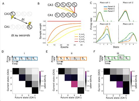 Figure 3 From Learning Predictive Cognitive Maps With Spiking Neurons