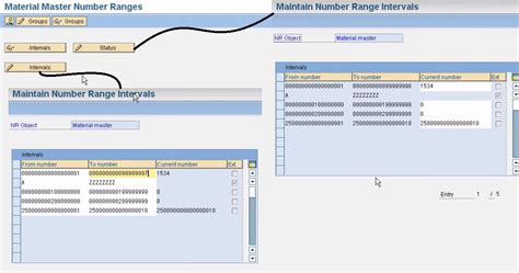 Material Type And Number Range Configuration