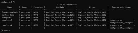 Using Marten With Postgres As A Document Database By Fredrik Erasmus