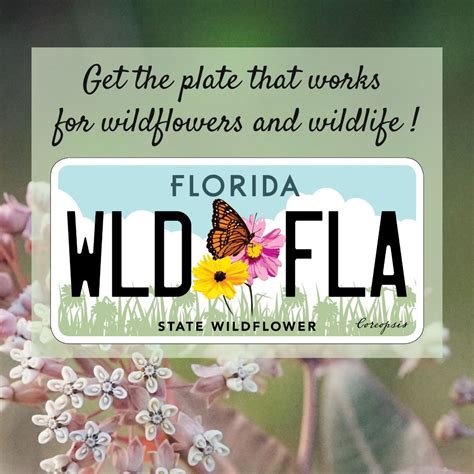 Jeff Caster Posted On Linkedin