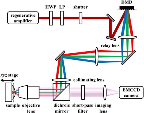 Color Online Multiphoton Excitation Microscopy System 14 Download Scientific Diagram