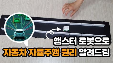 햄스터 로봇으로 자동차 자율주행 원리 알려드림 엔트리 코딩으로 근접센서 활용하기 Youtube