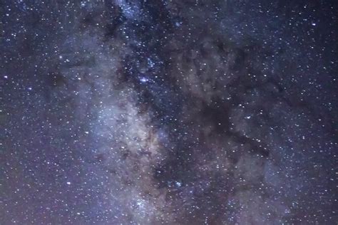 4 Hour Circus Under The Stars