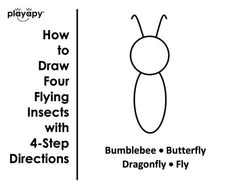 How To Draw Insects Set
