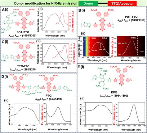 The Luminous Frontier Transformative Nir Iia Fluorescent Polymer Dots For Deep Tissue Imaging