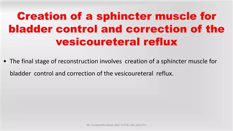 Bladder Exstrophy Or Ectopia Vescica Pptx