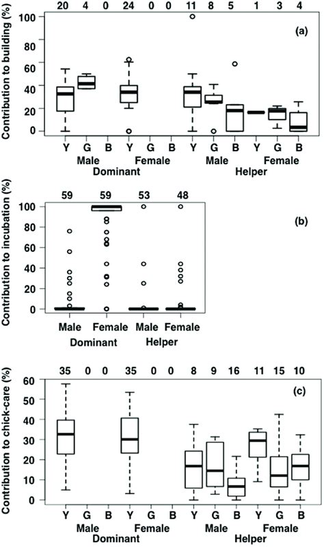 Differences In Contributions To Nesting Efforts Between Individuals Of Download Scientific