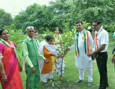 Plantation And Sampling Distribution Utthan India