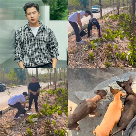 Myanmar Social News လမ်းဘေးက ပိုင်ရှင်မဲ့ ခွေးလေးတွေကို ကုသိုလ်ယူအစာက