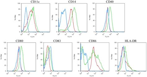 Surface Expressions Of Cd11c Cd14 Cd40cd80cd83cd86hla Dr Of