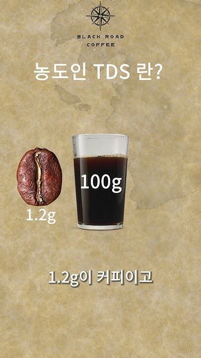 커피 내릴 줄 몰라도 이건 무조건 알아야 합니다 Youtube