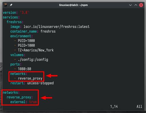 Nginx Proxy Yöneticisi Npm Ile Ters Proxy Nasıl Kurulur Linux