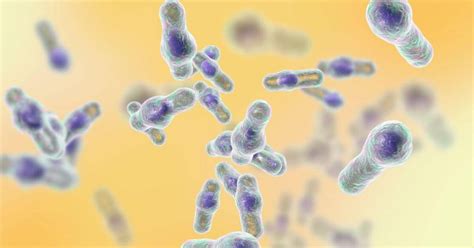 Dieta W Zakażeniu Clostridium Difficile Co Można Jeść