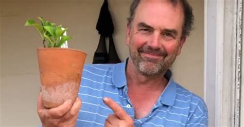 How To Grow Free Hydrangea Plants Using Gardeners Simple Method Uk