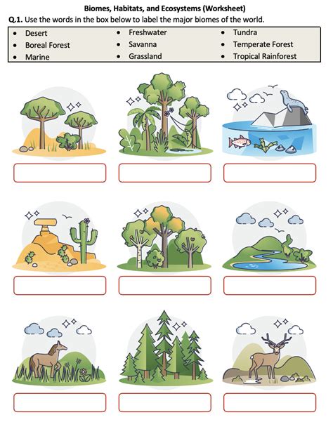grade 3 ecosystems worksheets worsheets library worksheets library
