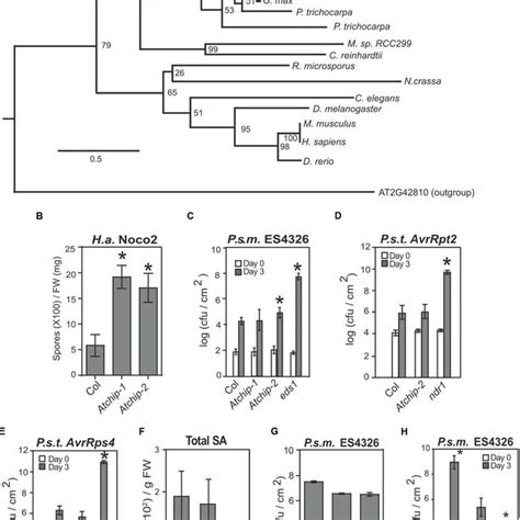 Examples Of Integration Of Unusual Domains In Nucleotide Binding And Download Scientific