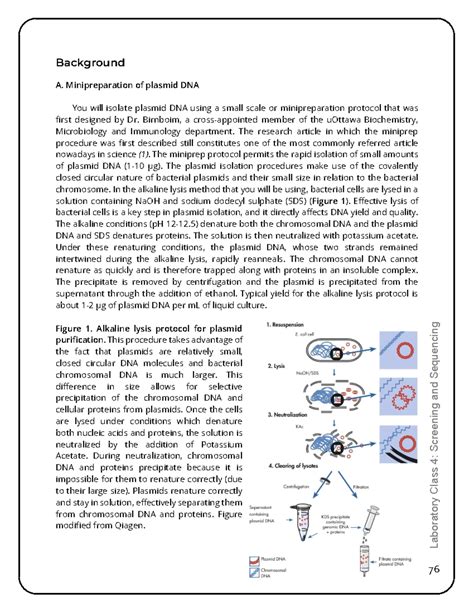 L Intro Lab Laboratory Class Screening And Sequencing Background A Minipreparation Of