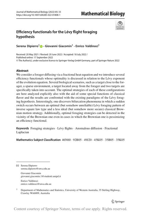 Efficiency Functionals For The Lévy Flight Foraging Hypothesis