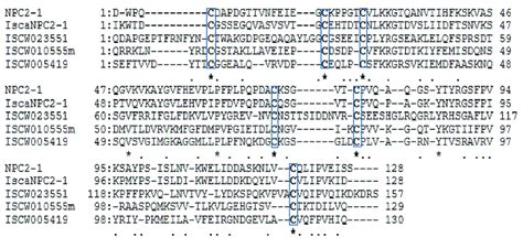 multiple sequence alignment analysis on candidate npc2s likely involved