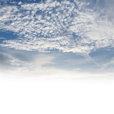 Sky Free Word Template