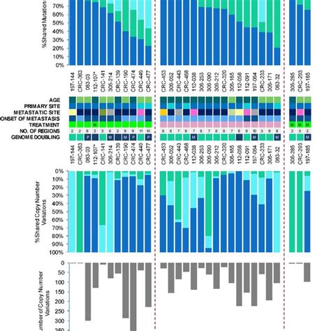 Genetic Heterogeneity In The Metastatic Colorectal Cancer Crc Cohort Download Scientific