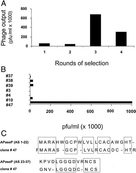 Isolation Of Cdna Clones Encoding Cpgpegagc Binding Proteins A The Download Scientific