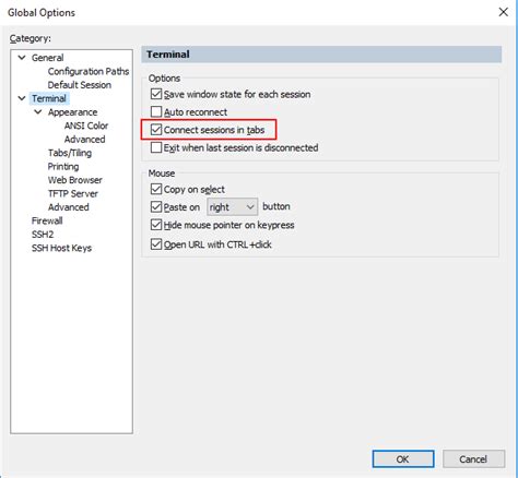 Securecrt和xshell相关配置 · Rory S Blog