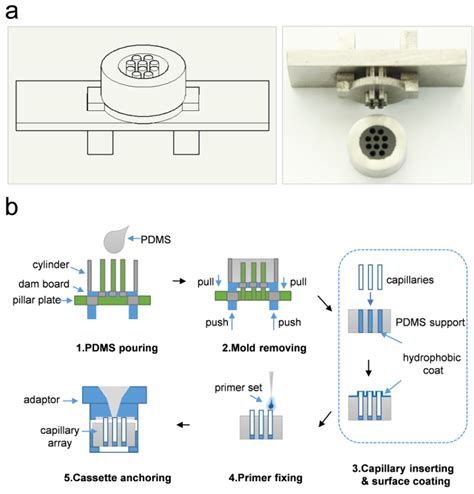 visual detection of multiple nucleic acids in a capillary array