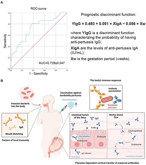 Frontiers Diphtheria Tetanus And Pertussis Immunity Among Healthcare Professionals And