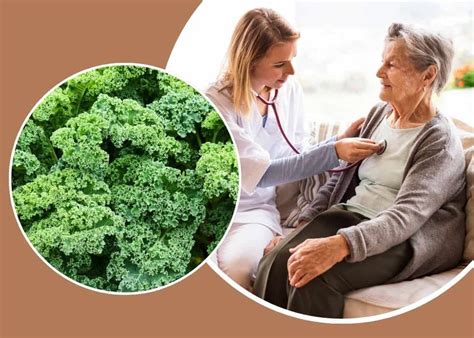 The 6 Incredible Health Benefits Of Kale Leaves You Cant Ignore
