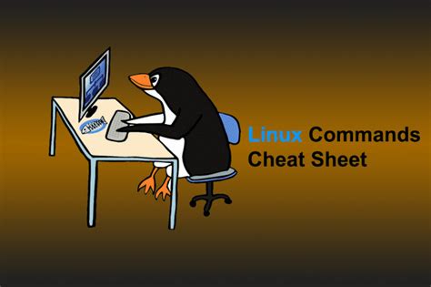 Download This Cheat Sheet To Learn Basic Linux Commands TechWorm