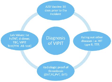 Our Decisional Matrix For The Diagnosissuspicion Of Vipit Clinical