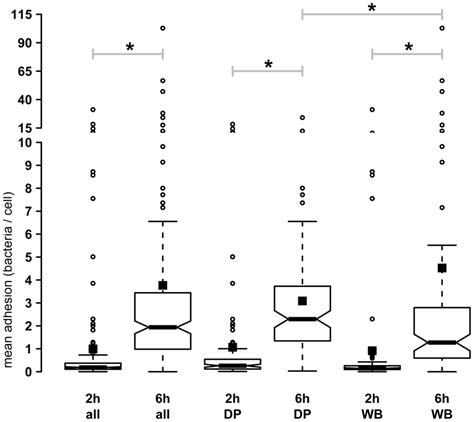 Adhesion Rates Of E Coli To Ipec J2 Ipec J2 Cells Were Incubated With