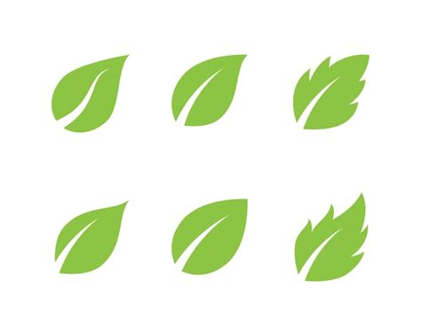 Premium Vector Tree Leaf Vector Icon Template
