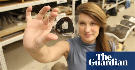 Dinosaur Data Can The Bones Of The Deep Past Help Predict Extinctions Of The Future Lifeboat