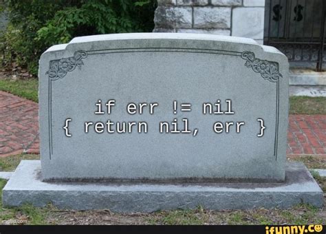 Golang Memes Best Collection Of Funny Golang Pictures On Ifunny