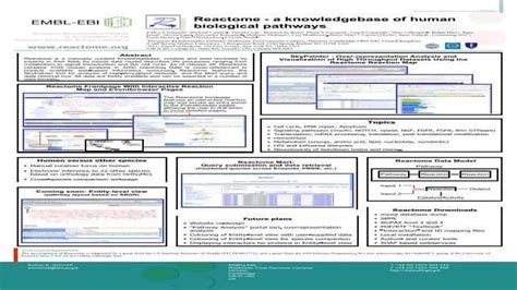 Reactome A Knowledgebase Of Human Biological Pathways Technology
