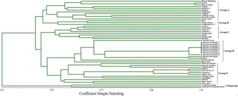 unweighted pair group method with arithmetic averages dendrogram of 49