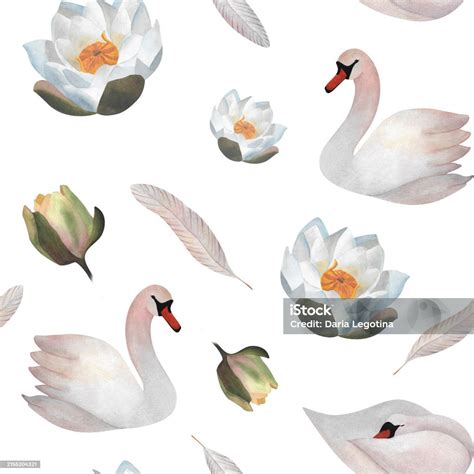 수채화 백조와 수련 완벽 한 패턴 파스텔 새 백조 꽃과 깃털 섬유 벽지 포장지 유치한 옷 아기 장식 2024 꽃 무늬 흰색 배경 0명에 대한 스톡 벡터 아트 및 기타 이미지