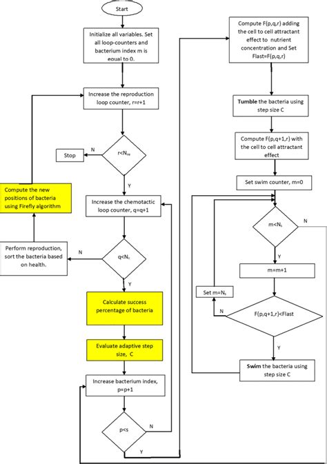 The Flow Chart Of The Proposed Bfa Fa Algorithm Download Scientific Diagram