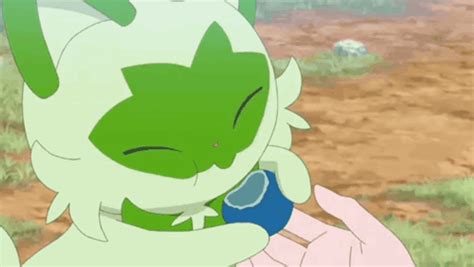 Sprigatito Pokemon  Sprigatito Pokemon Pokemon Sprigatito