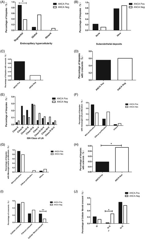 Histopathological Features Of Proliferative Ln Download Scientific