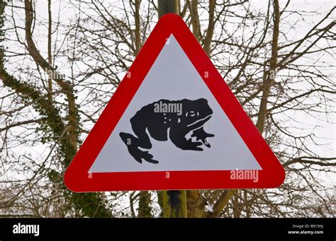 Toad Warning Sign Near The Lake At Llandrindod Wells Powys Mid Wales Uk