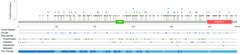 Mutation Distribution In Arid1a Lollipop Mutation Graph Demonstrating Download Scientific