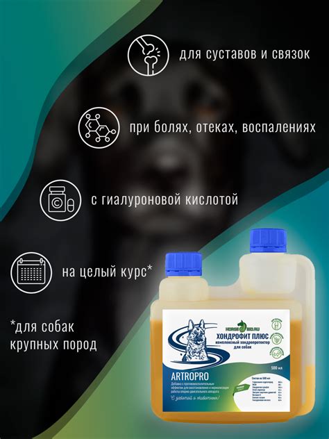 Хондропротектор ХОНДРОФИТ ПЛЮС ArtroPro для собак крупных пород, 500 мл
