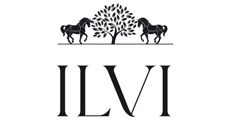 iLVi Shoes&Bags – İLVİ