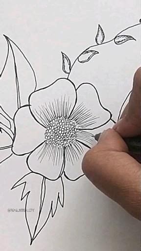 How To Draw Tulips Step By Step Tutorial Artofit